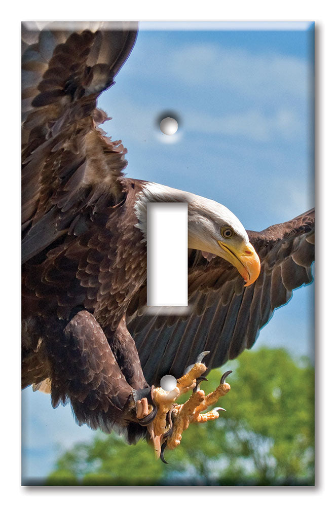 Decorative Printed OVERSIZED Switch Plate - Electrical Switch Cover JU ...