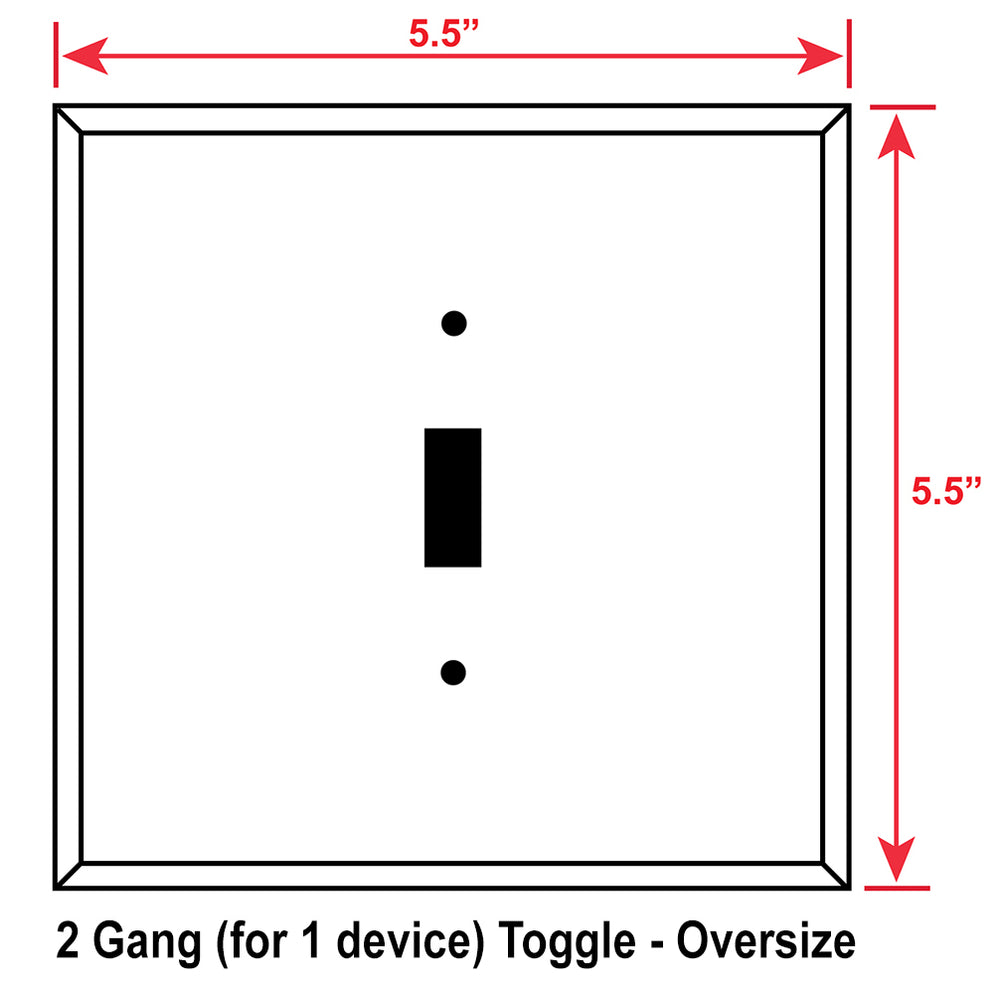 OVERSIZED Stainless Steel Switch Plate Cover, 2 Gang Jumbo Electrical ...